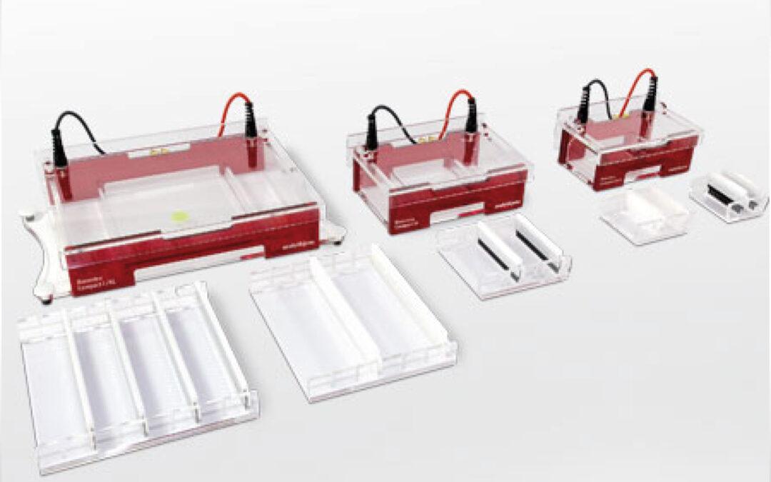 Electrophoresis and Blotting | Berner Lab